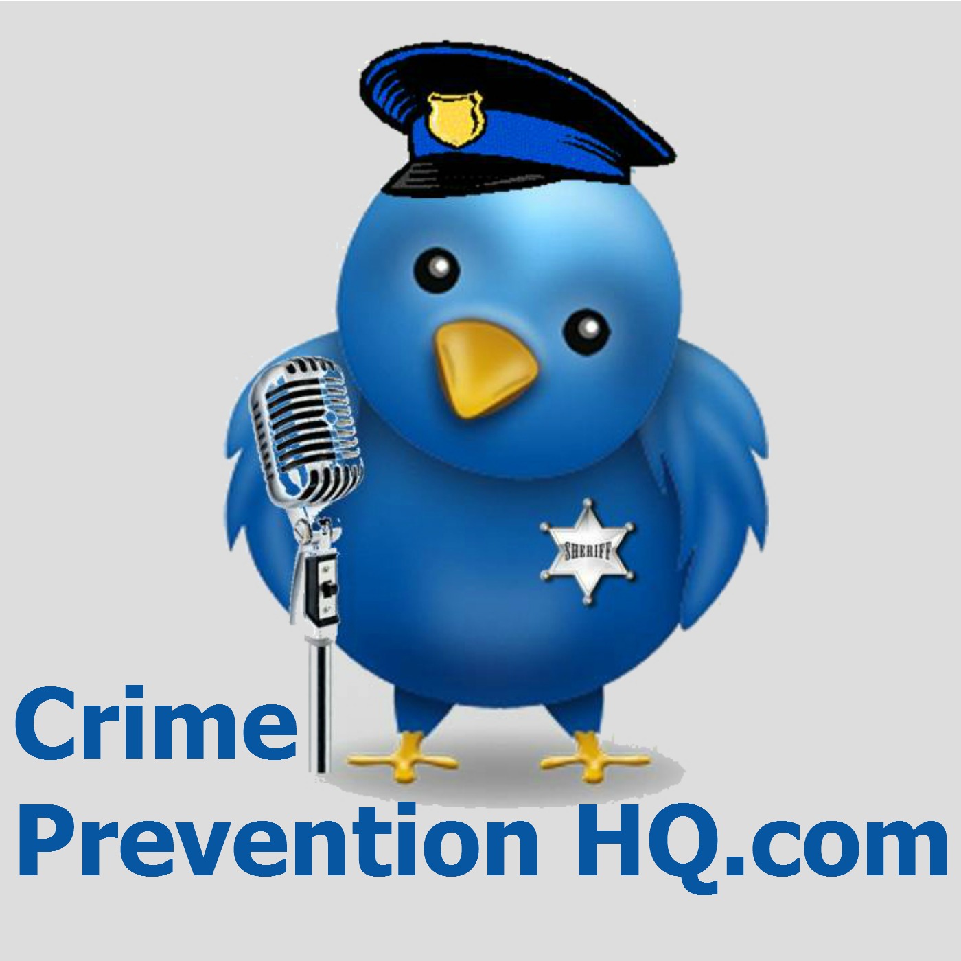 CPTED Blank Site Survey PowerPoint Template - Crime Prevention HQ
